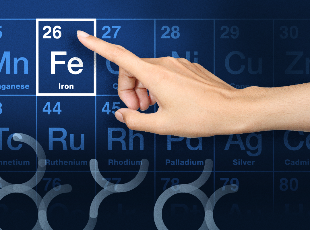 IJzer (Fe) – Synofit Official Store - Voedingssupplementen